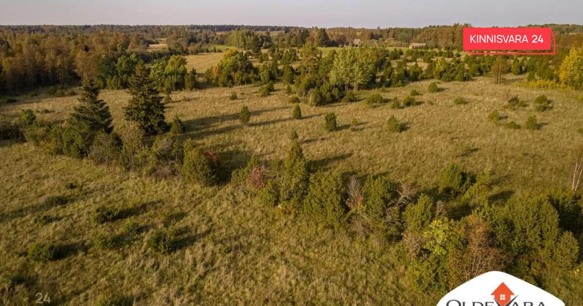 Müüa maa, Säluka, Valkla küla, Kuusalu vald
