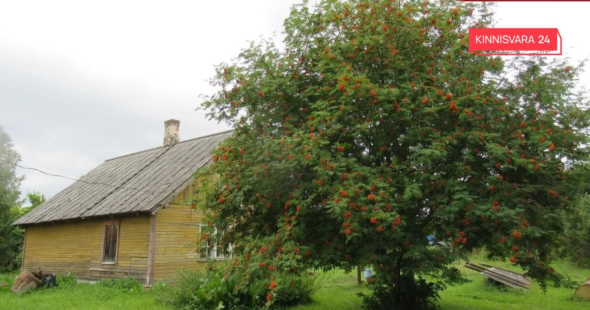 Müüa maja, 2 tuba, Vahepõllu, Alliku küla, Alutaguse vald