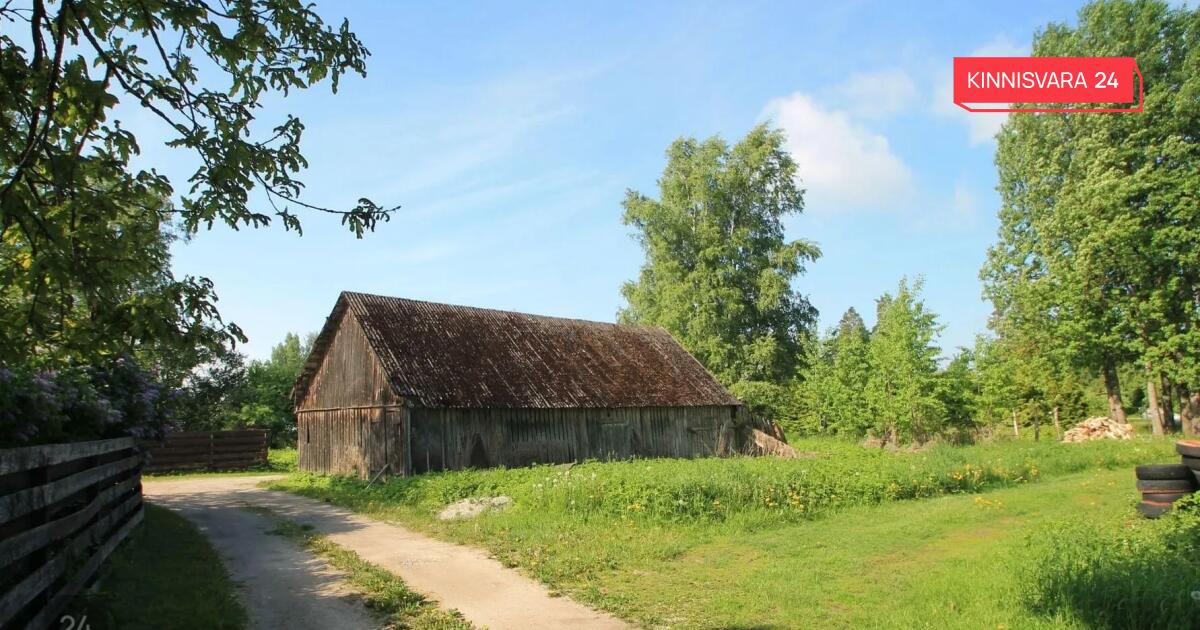 Müüa maa, Kuuse tn 1, Are alevik, Tori vald