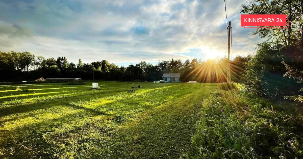 Müüa maa, Mäepealse, Saunja küla, Lääne-Nigula vald