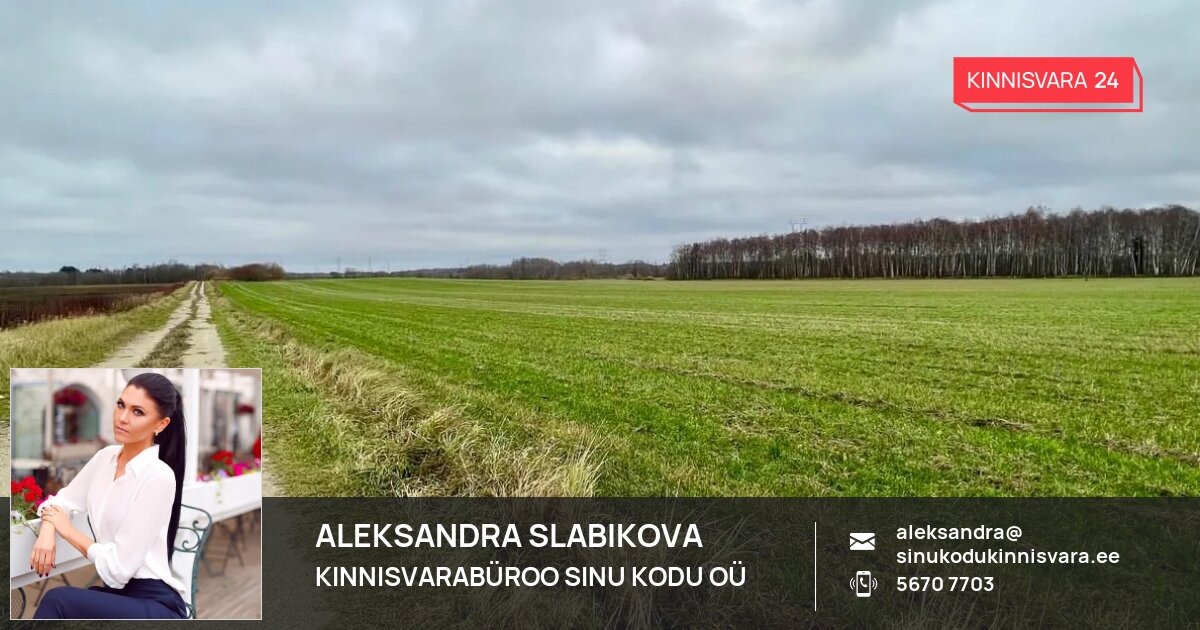 Müüa maa, Jõepaple, Alliku küla, Saue vald