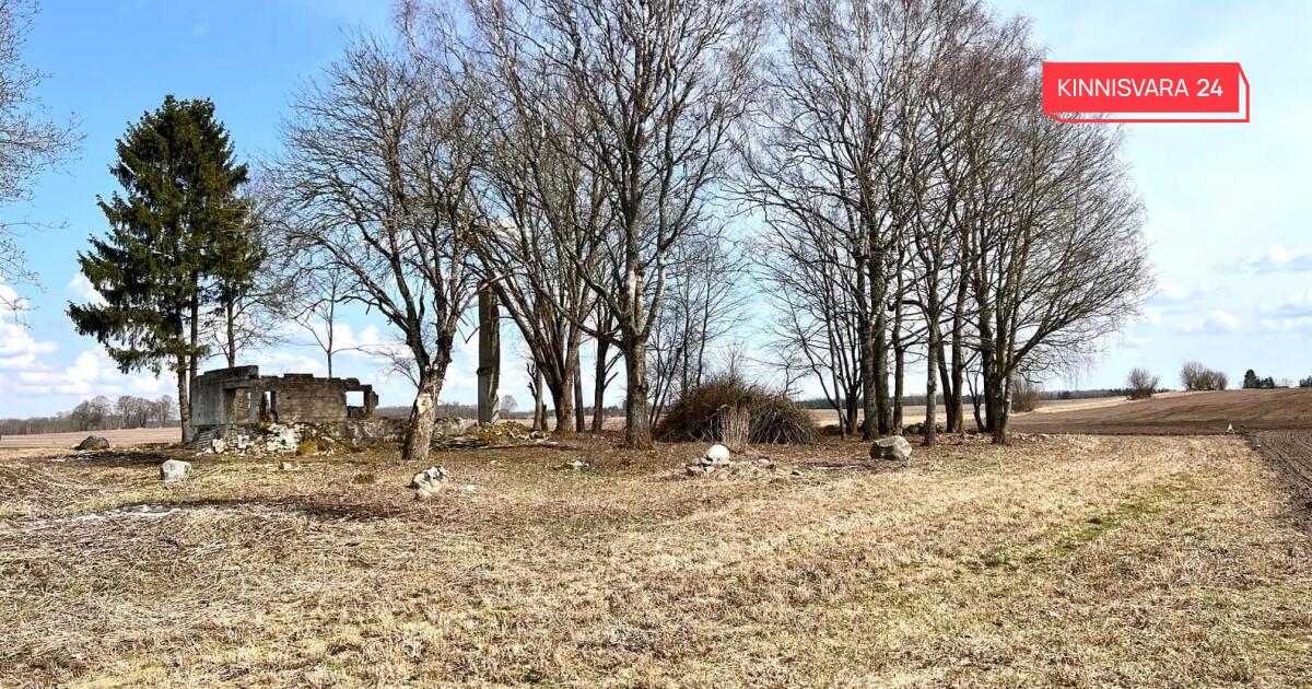 Müüa maa, Juhansoni, Küti küla, Järva vald