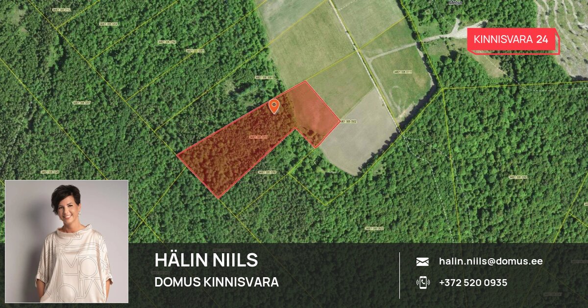 Müüa maa, Lepiku, Kaarma osavald, Mullutu küla, Saaremaa vald