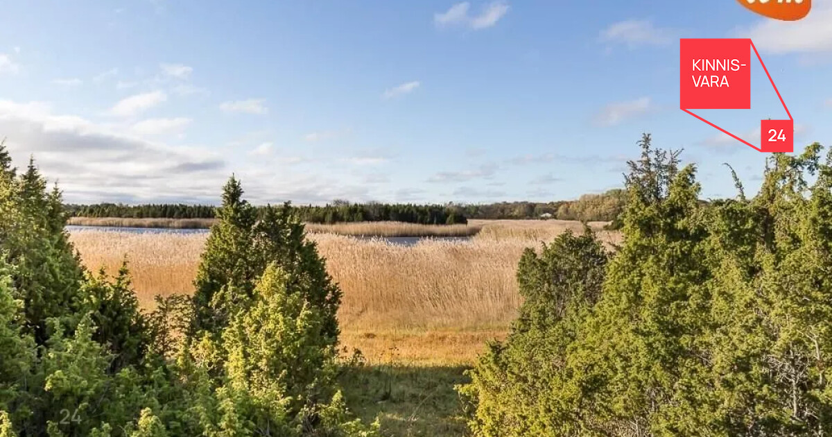 Müüa maja, Piipre, Turja küla, Saaremaa vald