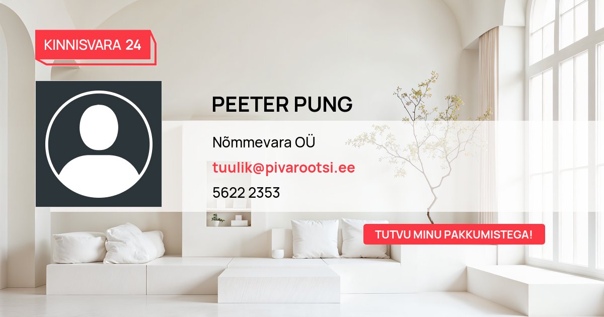 Kinnisvaramaakler Peeter Pung - Nõmmevara OÜ